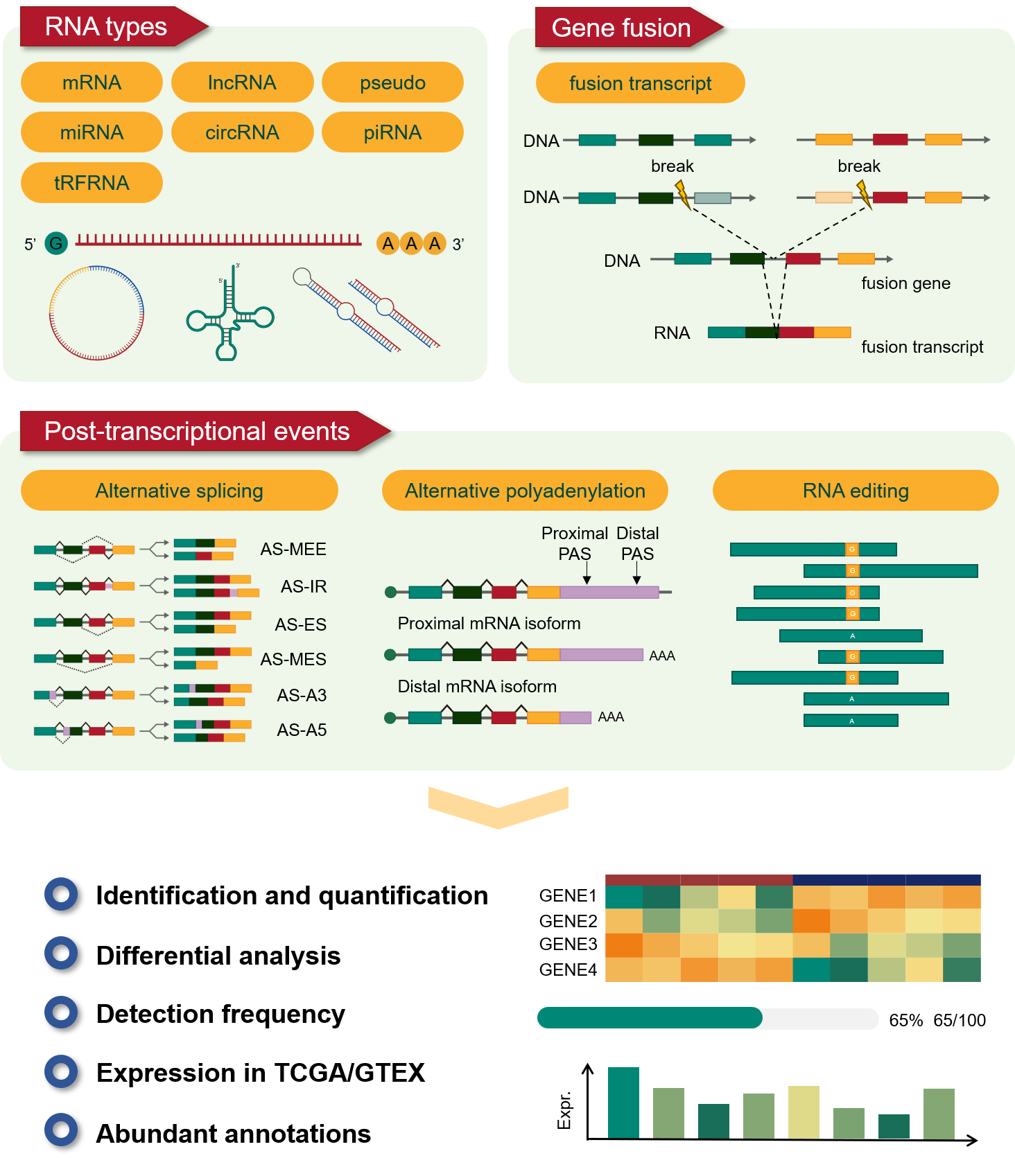 BBCancer | A comprehensive database of blood-based RNA biomarkers for ...